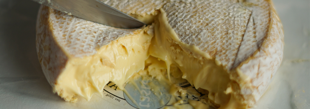 Our Story – Village Maid Cheese
